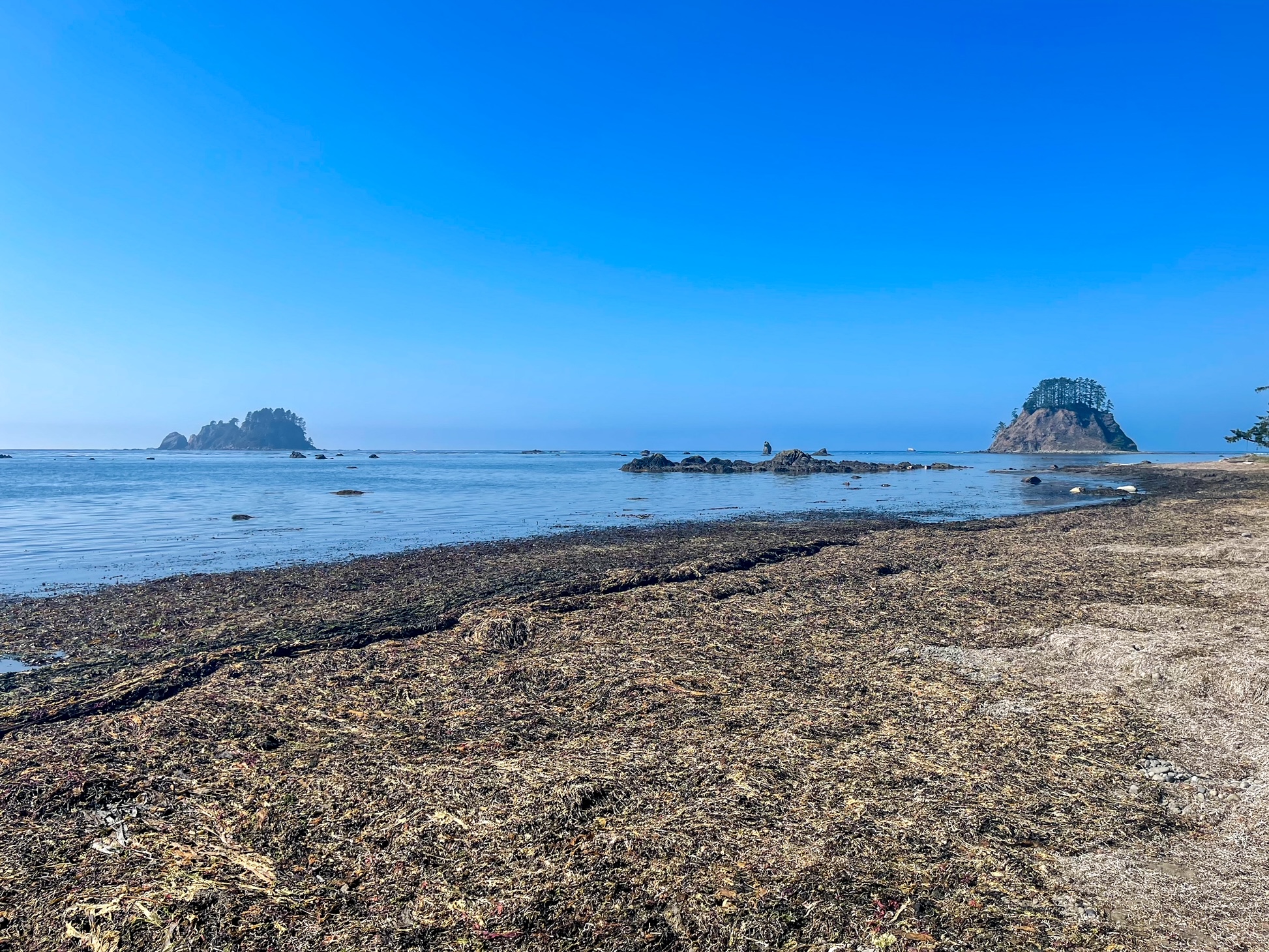 Guide to Visiting Cape Alava - Olympic National Park