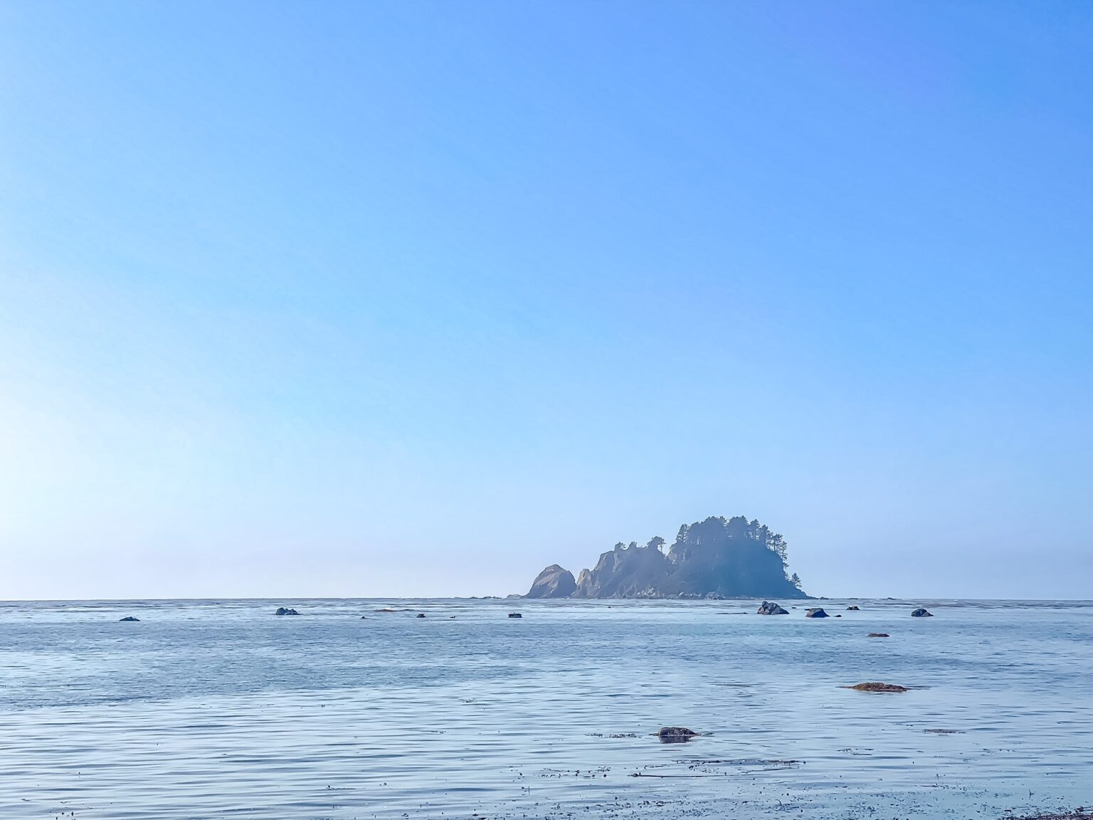 Guide to Visiting Cape Alava - Olympic National Park