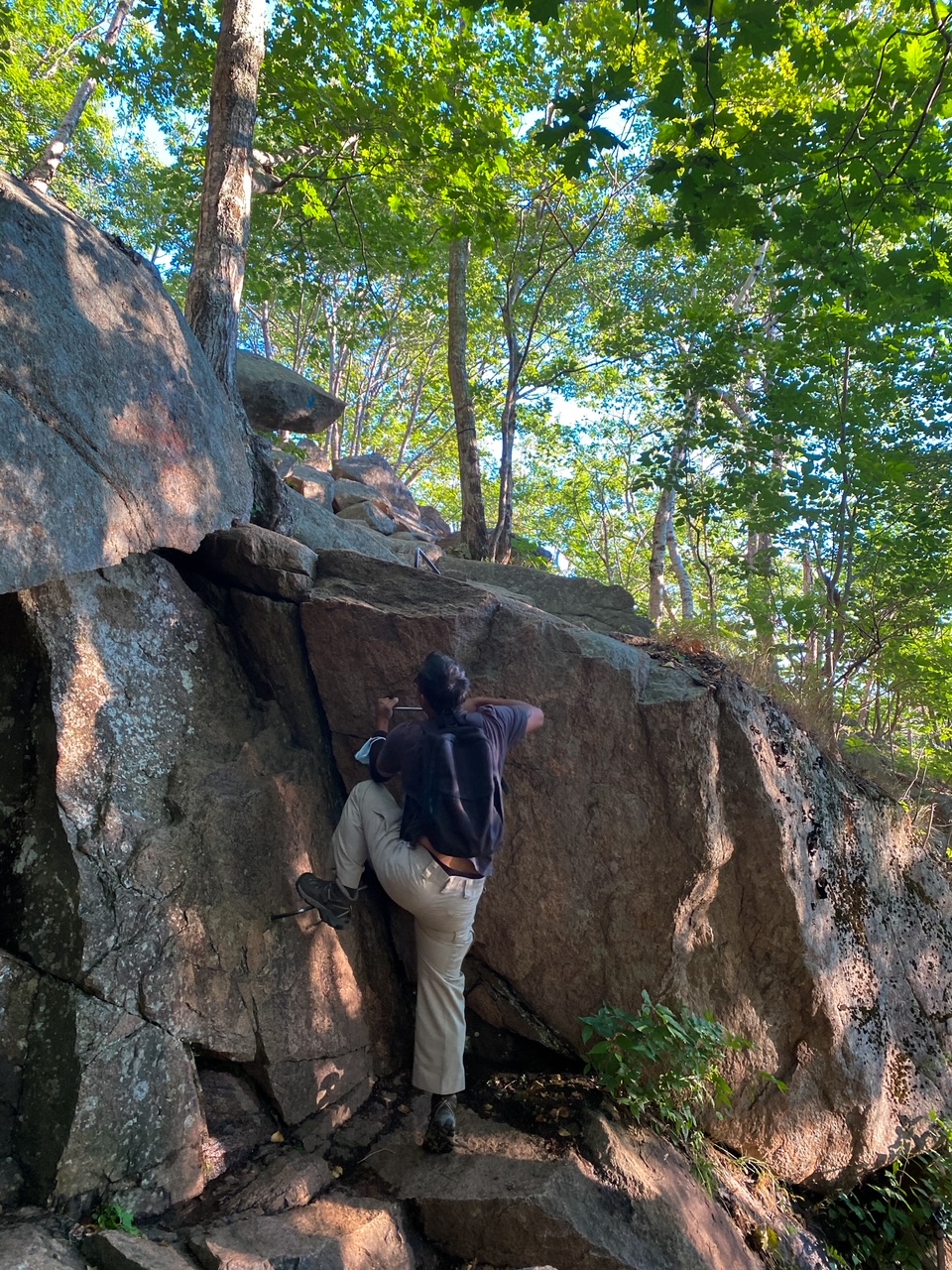 Precipice Trail Hike - Acadia NP's Most Exciting Trail