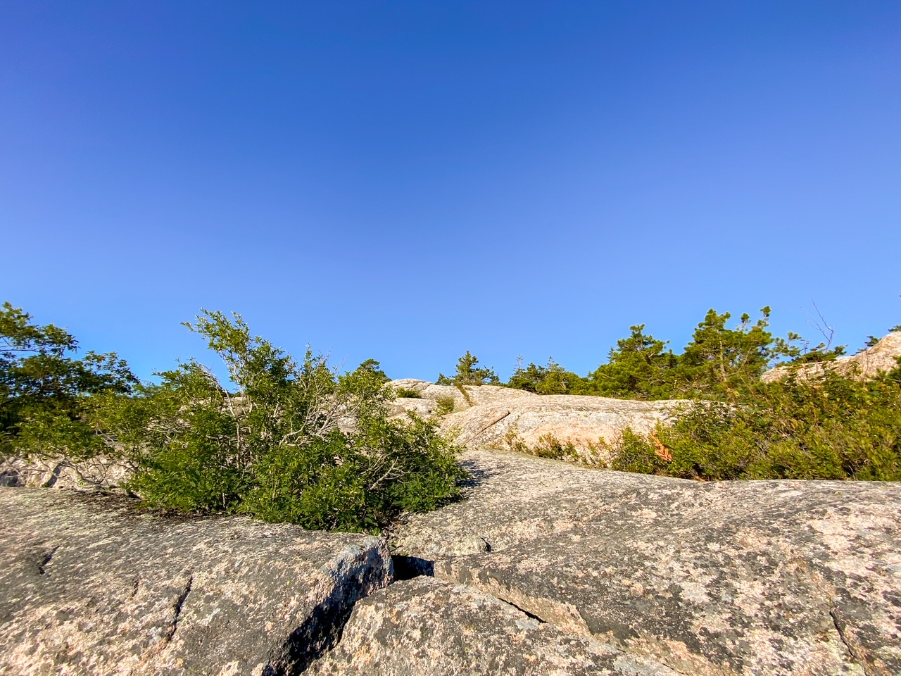 Precipice Trail Hike - Acadia NP's Most Exciting Trail