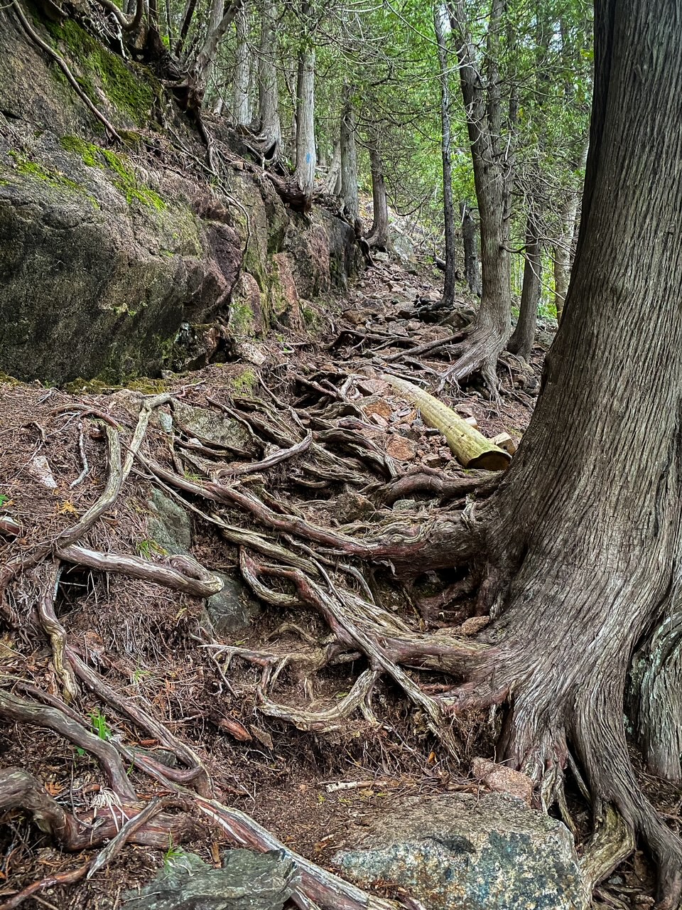 Jordan Cliffs Trail Hike - Know Before you Go