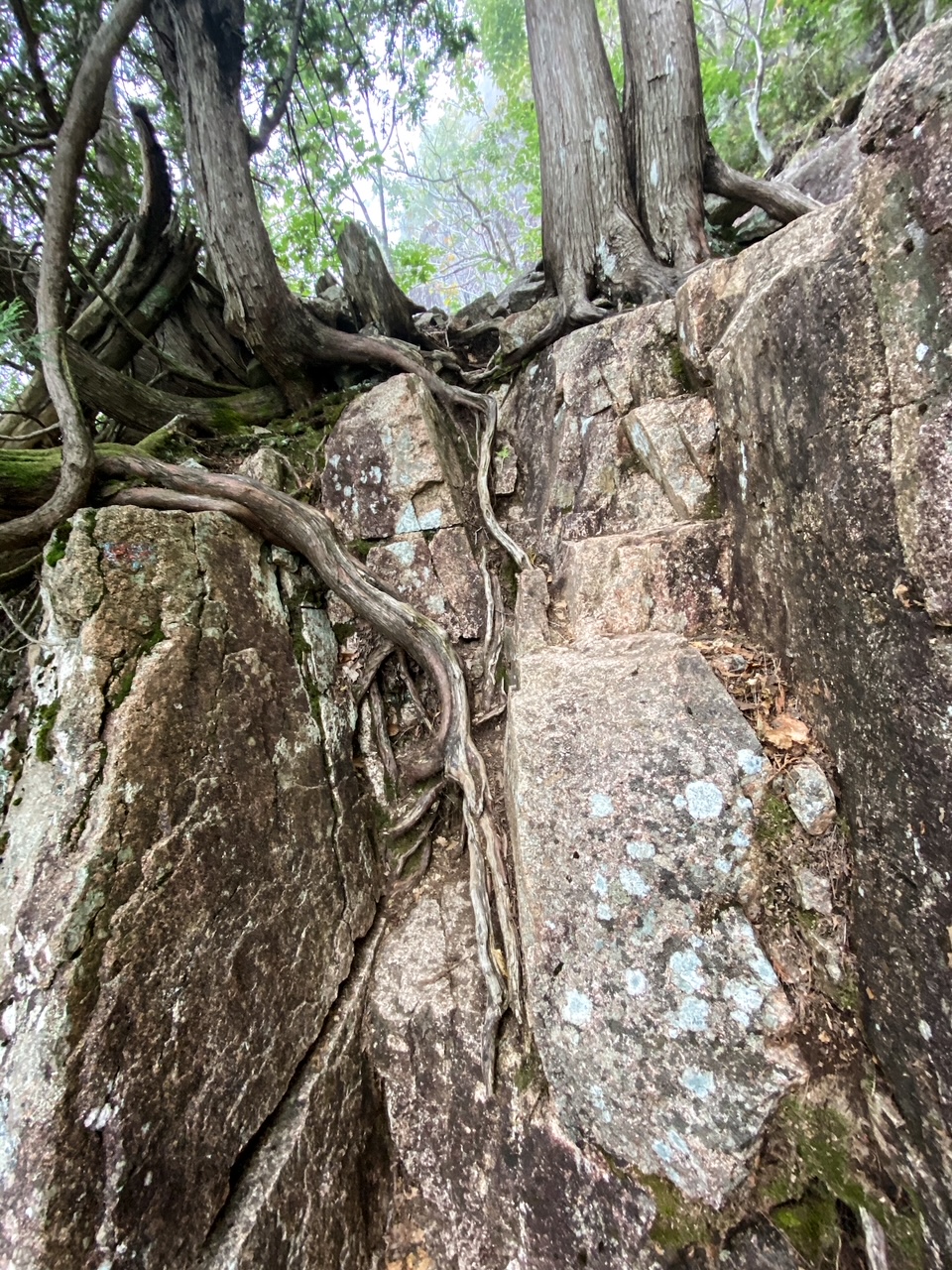 Jordan Cliffs Trail Hike - Know Before you Go