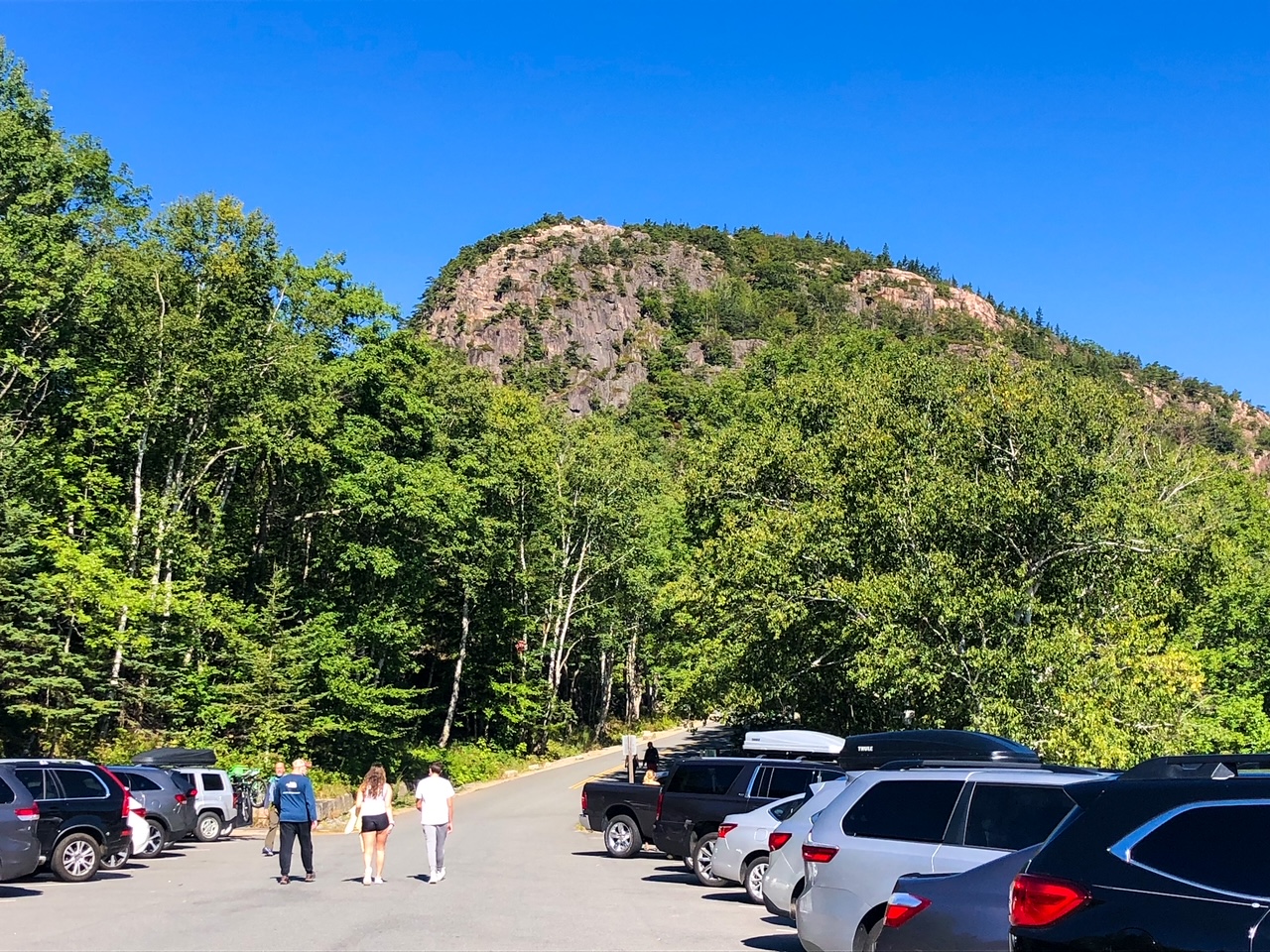 Beehive Trail Hike Acadia NP - What to Know