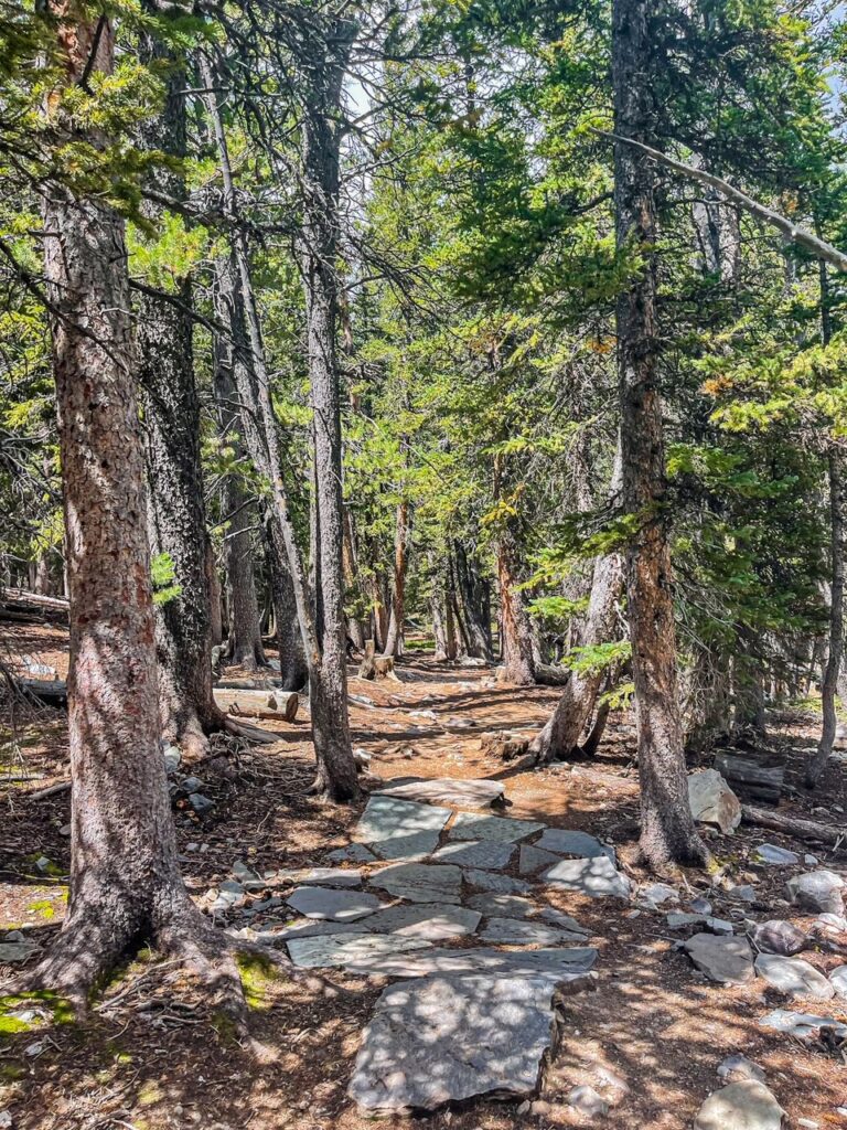 Alpine Lake, Bristlecone & Glacier Trails - Great Basin NP
