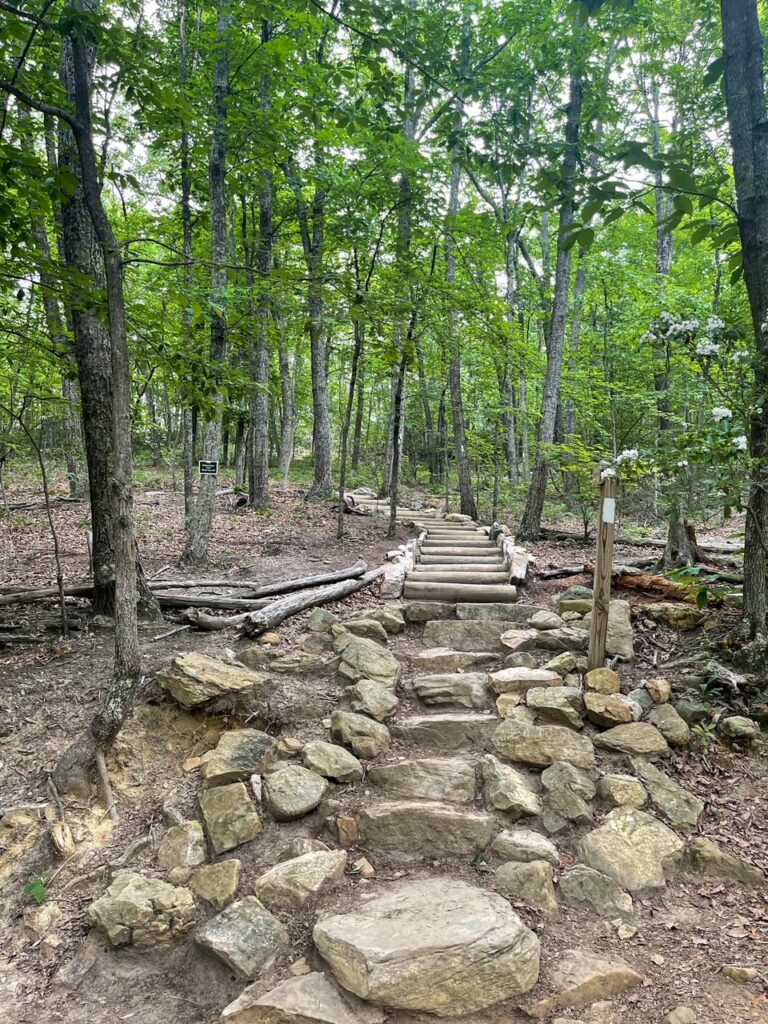 Guide To McAfee Knob Hike - Virginia Appalachian Trail