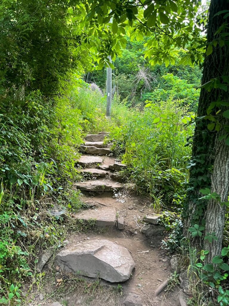 Guide To McAfee Knob Hike - Virginia Appalachian Trail