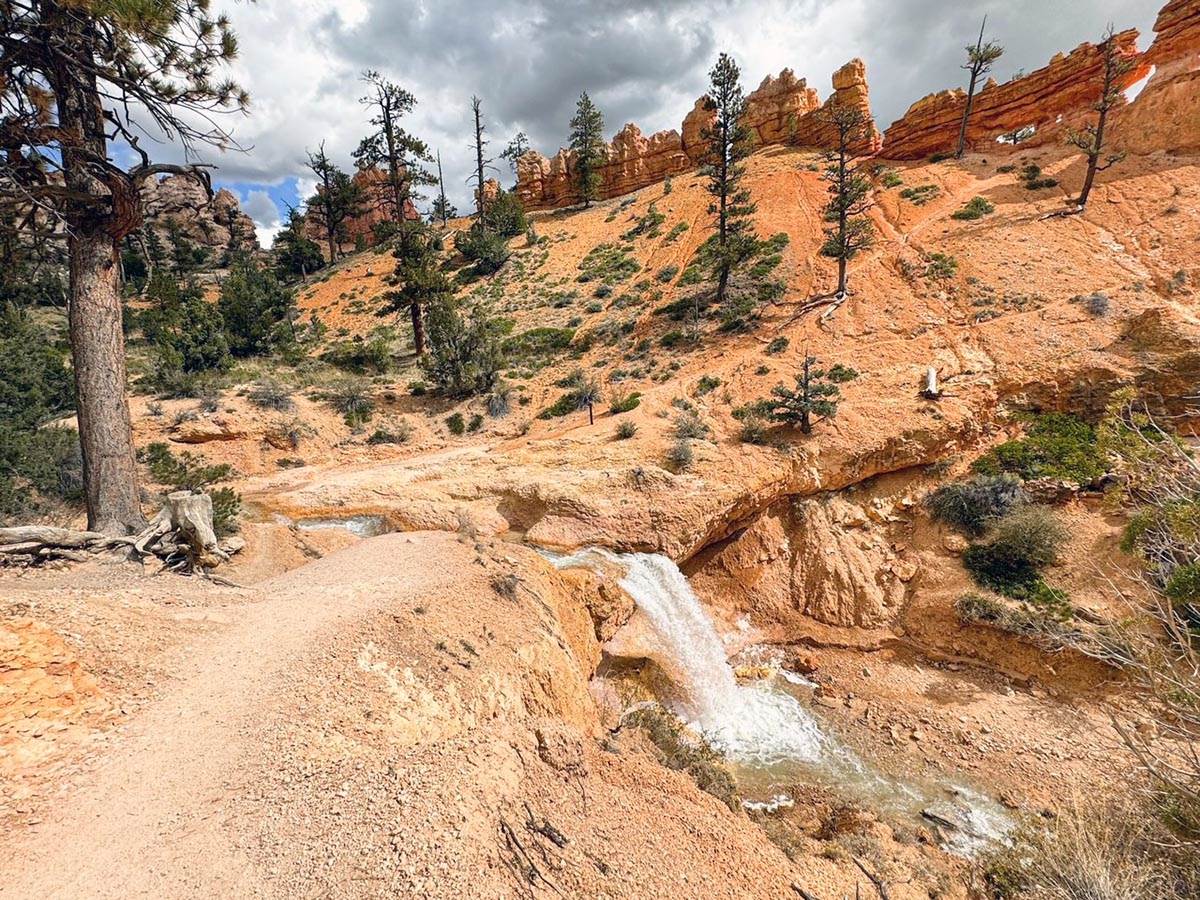 Mossy Cave Trail Guide: Bryce Canyon National Park
