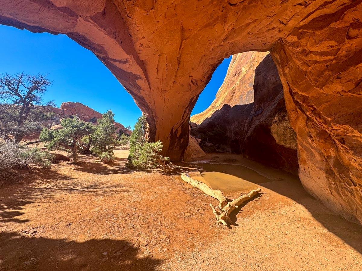 Devil's Garden Trail Guide: Arches National Park