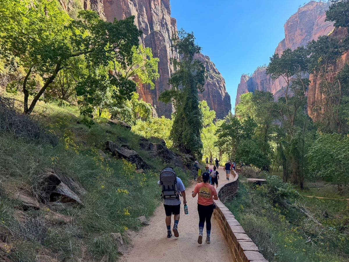 13 Fantastic Hikes in Zion National Park